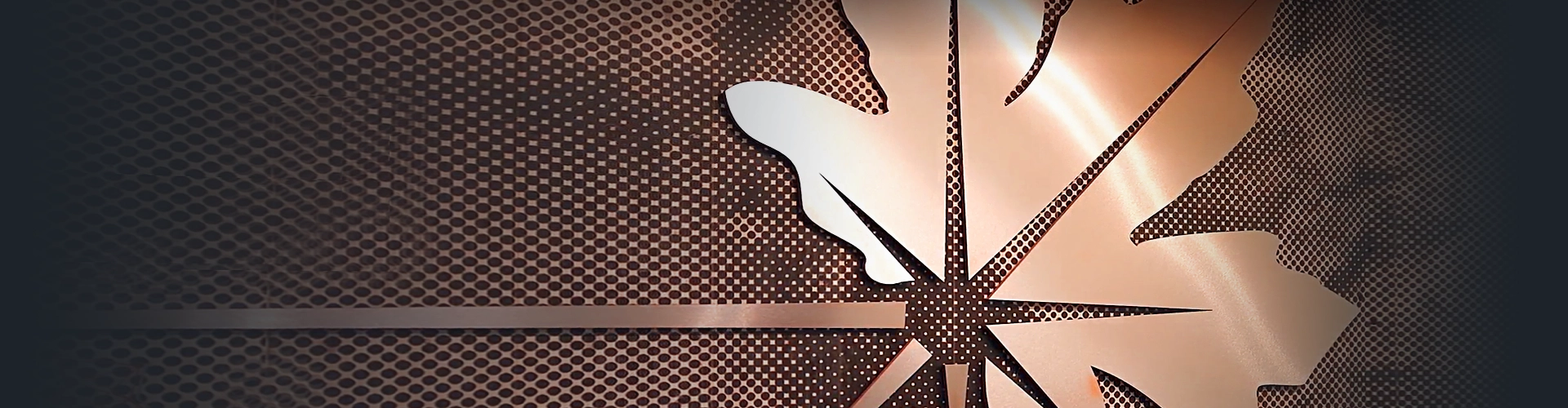 About Copperleaf - Copperleaf