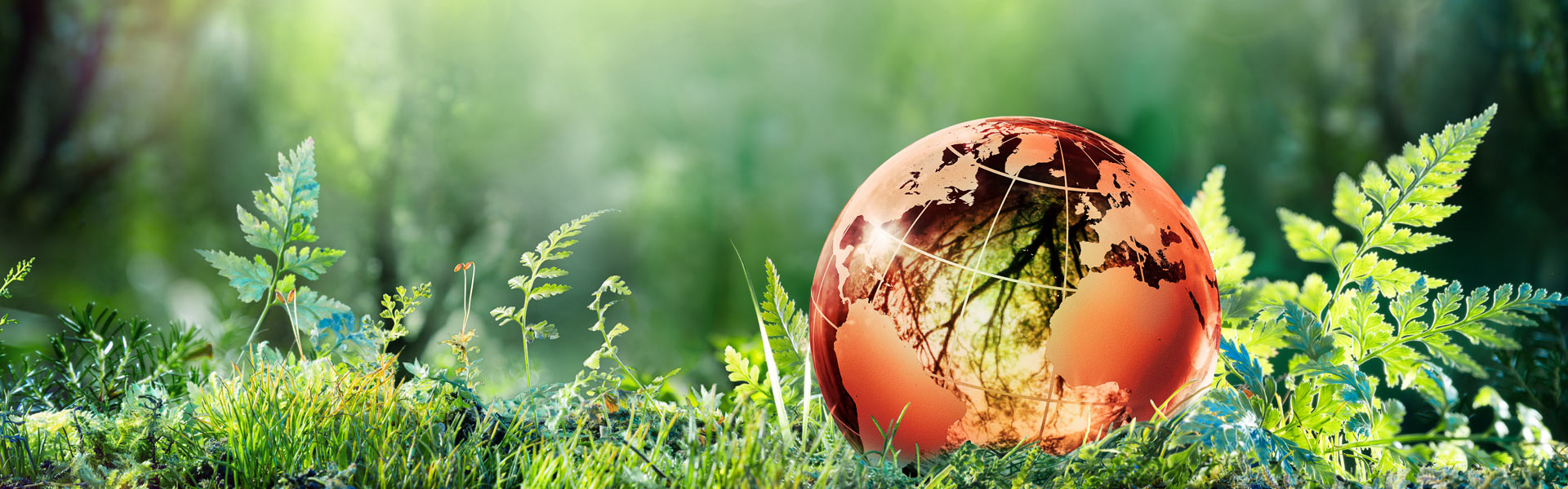 Future of Utilities : Energy Transition Summit 2024 - Copperleaf